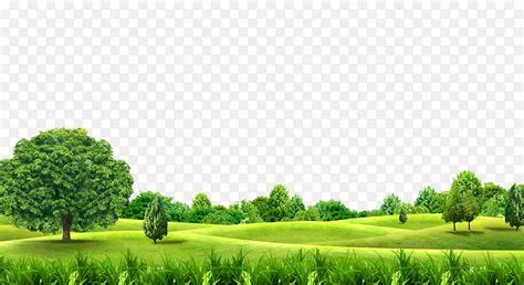 Png Png