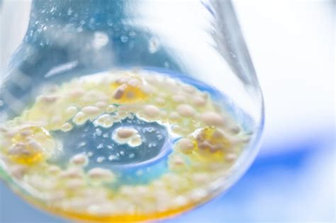 放線菌細菌酵母や微生物学の実験室の研究のための土壌サンプルから選択培地で金型の特徴的なコロニー アイデンティティーのストックフォトや画像を