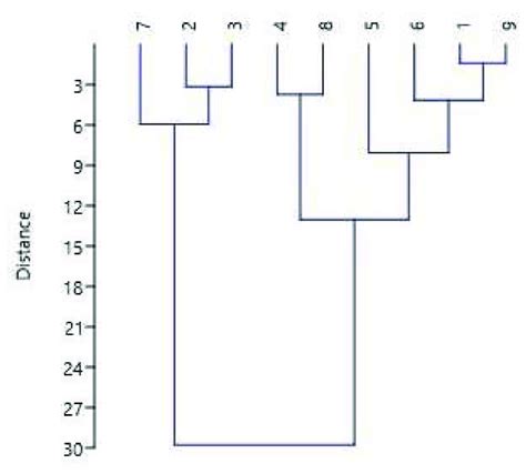Hierarchical Clustering Based On The Molecular Composition Of Has