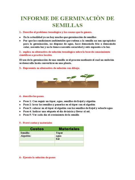 Pasos Para La Germinación De Semillas Pdf Hogar Jardinería Y Bricolaje
