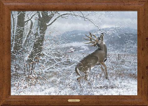 Battling Bucks Whitetail Deer Framed Canvas Giclee Art Print Wall Art