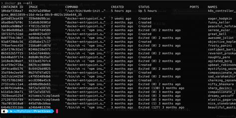 実行中の Container を一覧表示するコマンド Docker Ps Mitomex Blog