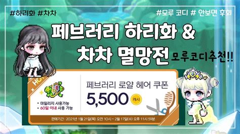 [메이플스토리] 페브러리 헤어쿠폰 하리화헤어 차차얼굴 멸망전 하리화and 차차 코디 추천 모루 코디 추천 하리화 차차 Youtube
