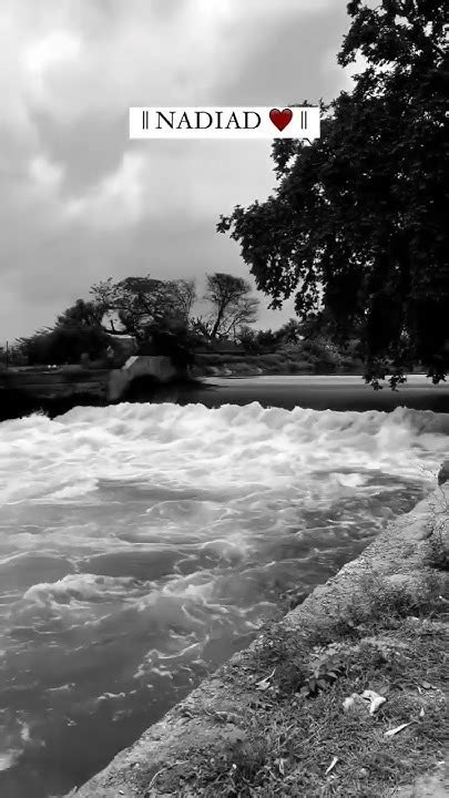 Nadiad Shorts Youtube