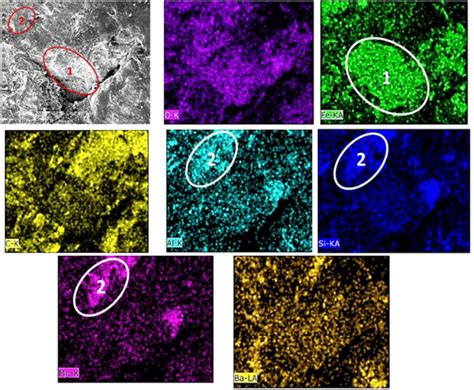 And Fig 12 Shows The Sem Images And Edax Data Dot Mappings Of O Fe