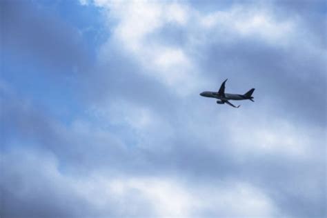 Passenger Plane Plunges Into Lake Victoria In Tanzania Nile