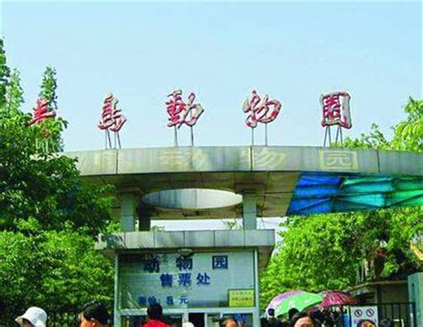 青岛中山公园动物园门票多少钱