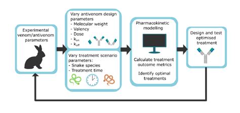 Schematic Of A Computational Modelling Workflow Applied To Antivenom
