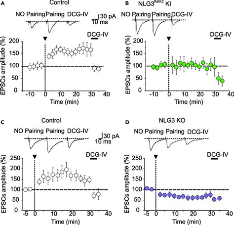 Positive Pairing Fails To Trigger Std Ltp At Glutamatergic Mf Ca3