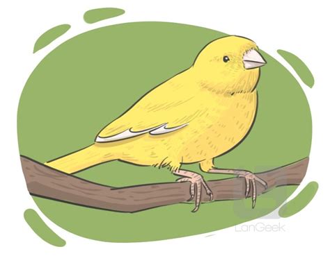 Definition And Meaning Of Canary Langeek