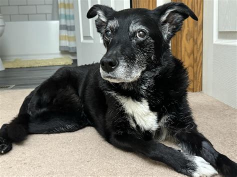 Portrait Comparison Album On Imgur