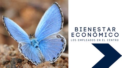 Píldorafinanciera Bienestar Económico
