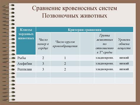 Кровеносная система животных. Кровь - презентация онлайн
