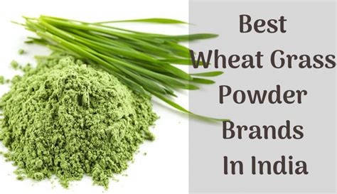 9 Best Wheatgrass Powder Brands In India 2024