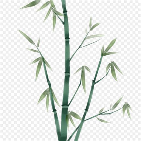 Le Vecteur De Téléchargement Png Bambou Clipart Vecteur De Barre De