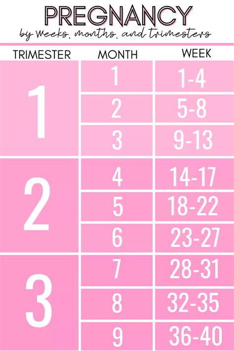 Pregnancy Chart Pregnancy Timeline Pregnancy Checklist Pregnancy
