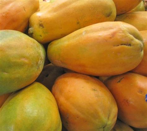 Organic Fresh Papaya Feature Good For Health Packaging Type
