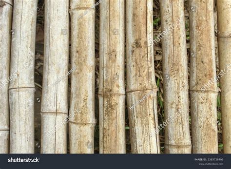 Whole Bamboo Structure Images Stock Photos D Objects Vectors Shutterstock