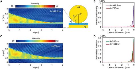 Fdtd Simulation Of Enhanced Sh Generation A Electric Field Intensity