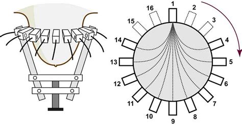 5 Left Schematic Diagram Right The Cut Section Of The Cw Nir