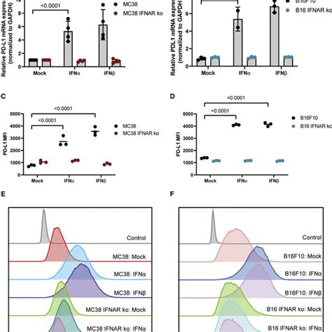 Type I Ifn Induces Pd L1 Upregulation In Murine Cancer Cell Lines
