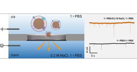 Highly Sensitive Detection Of Tumor Cell Derived Exosomes Using Solid