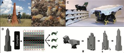 Collaborative Path Planning Path Planning