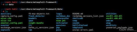 metasploit framework msf 详解 csdn博客
