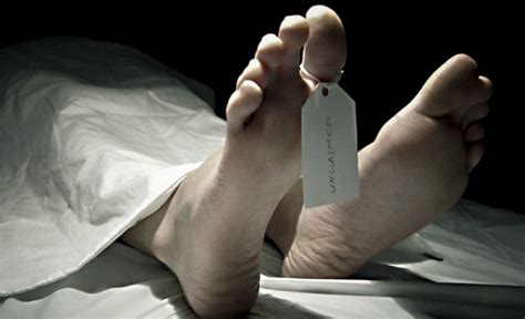 Hombre Fallece En Hospital Tras Ser Arrollado Por Camioneta En Madriz