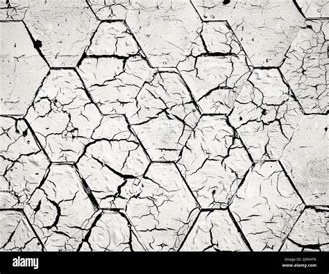 Abstract Background Or Texture The White Painted Asphalt Shingle Stock