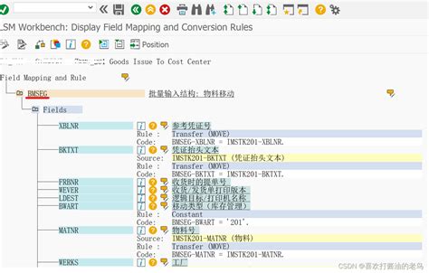 Sap Mm某个货物移动的lsmw工具里字段映射时bldat和budat不出现？lsmw 货物移动 Csdn博客