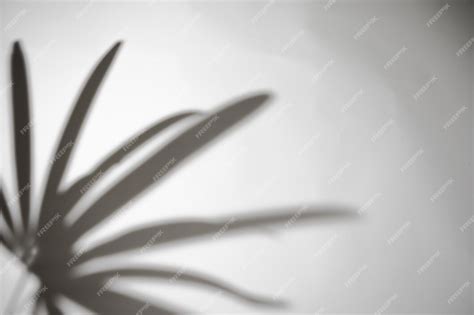 Premium Photo Motion Of Shadow Palm Leaf In The Wind Blowing Overlay