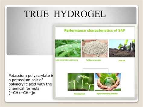 Applications Of Super Absorbent Polymers In Agriculture Ppt