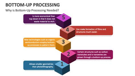 Bottom Up Processing PowerPoint And Google Slides Template PPT Slides