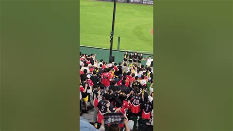 기아타이거즈응원 사직야구장 기아치어리더응원단장 Youtube