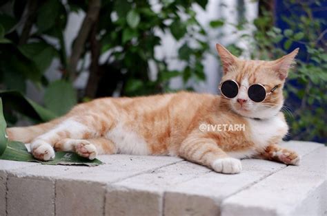 GitHub Menarik Hmm Project Lab Repo Example