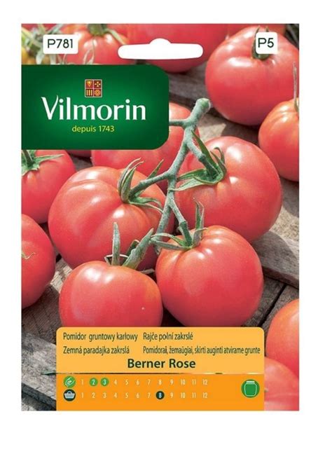 Pomidor gruntowy karłowy Berner Rose 0 2 g Vilmorin Inna marka