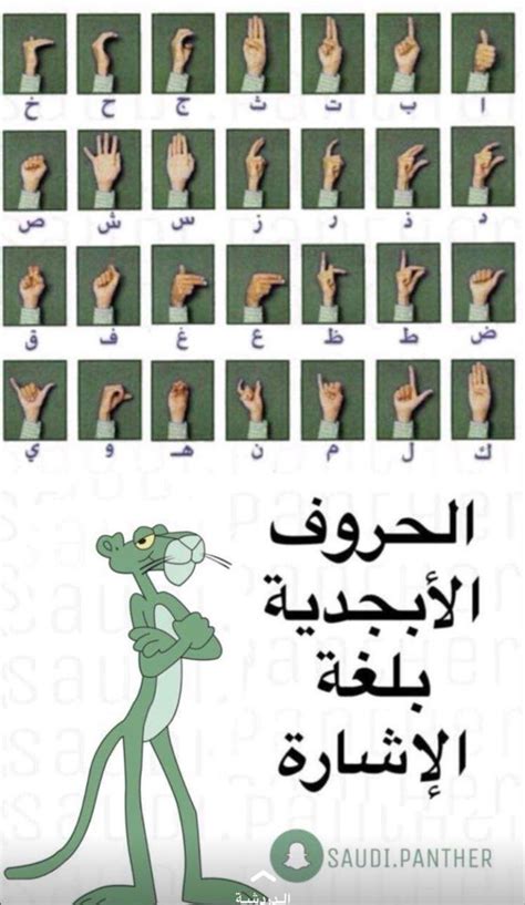 لغه الاشاره 🌺 Sign Language Phrases Learn Sign Language Sign Language