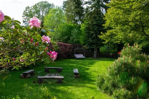 Your Overgrown Backyard Is Overwhelming Heres How To Finally Tackle It
