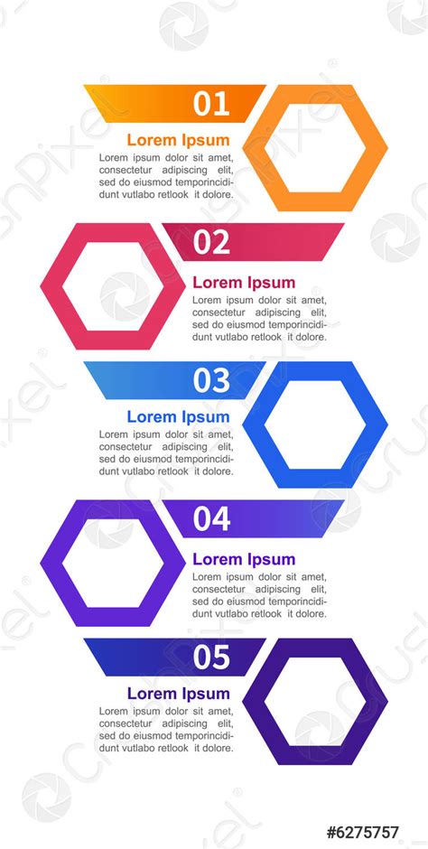placebo controlled trial infographic chart design template stock