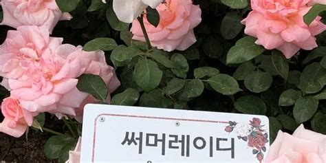 쉿 내 이야기 들어볼래 나의 글쓰기