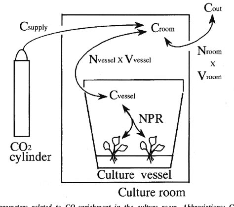 Figure 1 From Carbon Dioxide Enrichment In Autotrophic Micropropagation