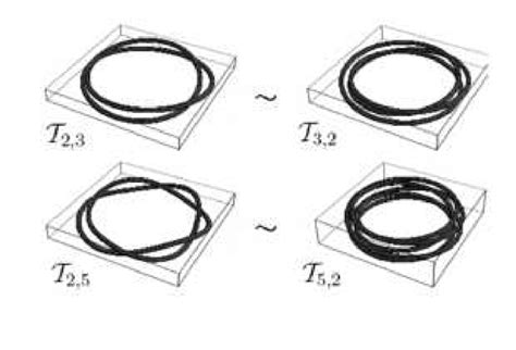 Examples Of Torus Knots T Pq Given By Solution Eqs 8 For A