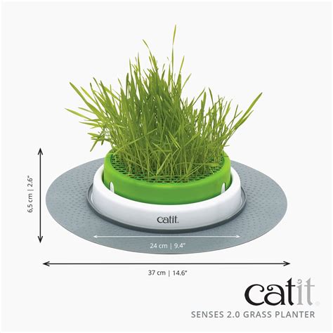Catit Senses Grass Planter Catit Usa Official Catit Brand Store
