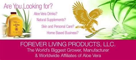 Best Aloe Vera Based Products Forever Living Products