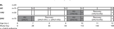 Figure 1 From Previous Exposure To Simulated Microgravity Does Not
