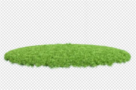 Premium Psd Various Types Of Grass Rendering Isolated
