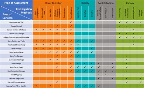 Tree Diagnostics Barnes Associates