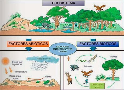 Factores abióticos y bióticos Principios básicos de ecología