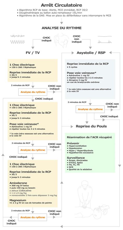 Algorithme Universel De La Réanimation De Lacr Urgences Online